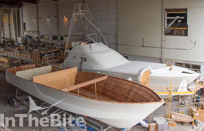 New ACY 67 - InTheBite