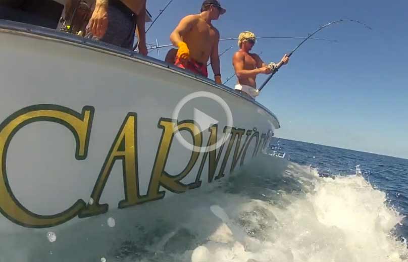 Video: Carnivore Fishing North Carolina - InTheBite