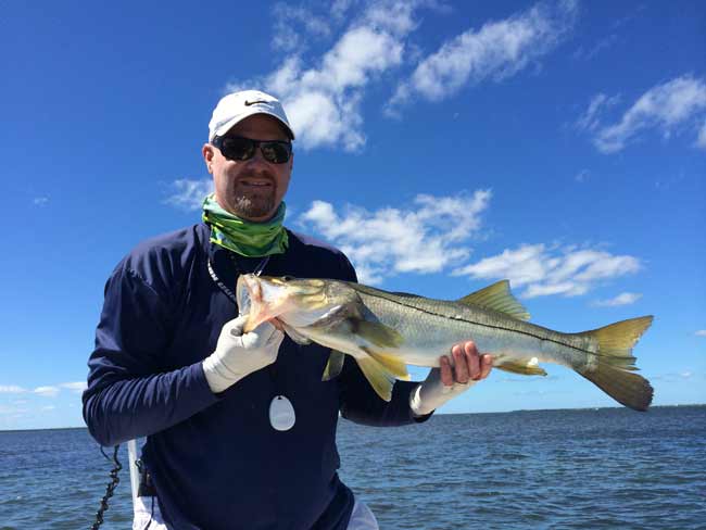 Fla Snook Closure In Gulf - InTheBite