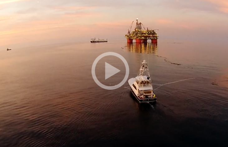 Reel Fire Gulf 2015 Video - InTheBite