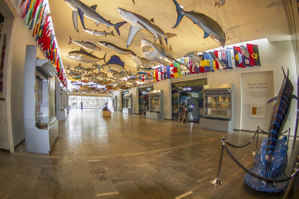 IGFA Museum Exhibits Moving - InTheBite