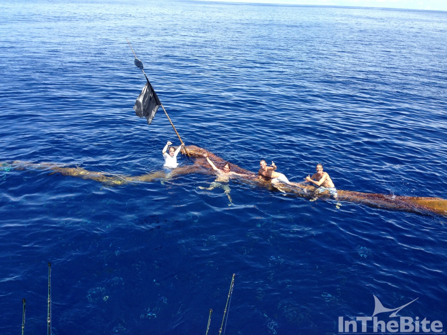 Captain Randy Baker Sets New Blue Marlin Record - InTheBite