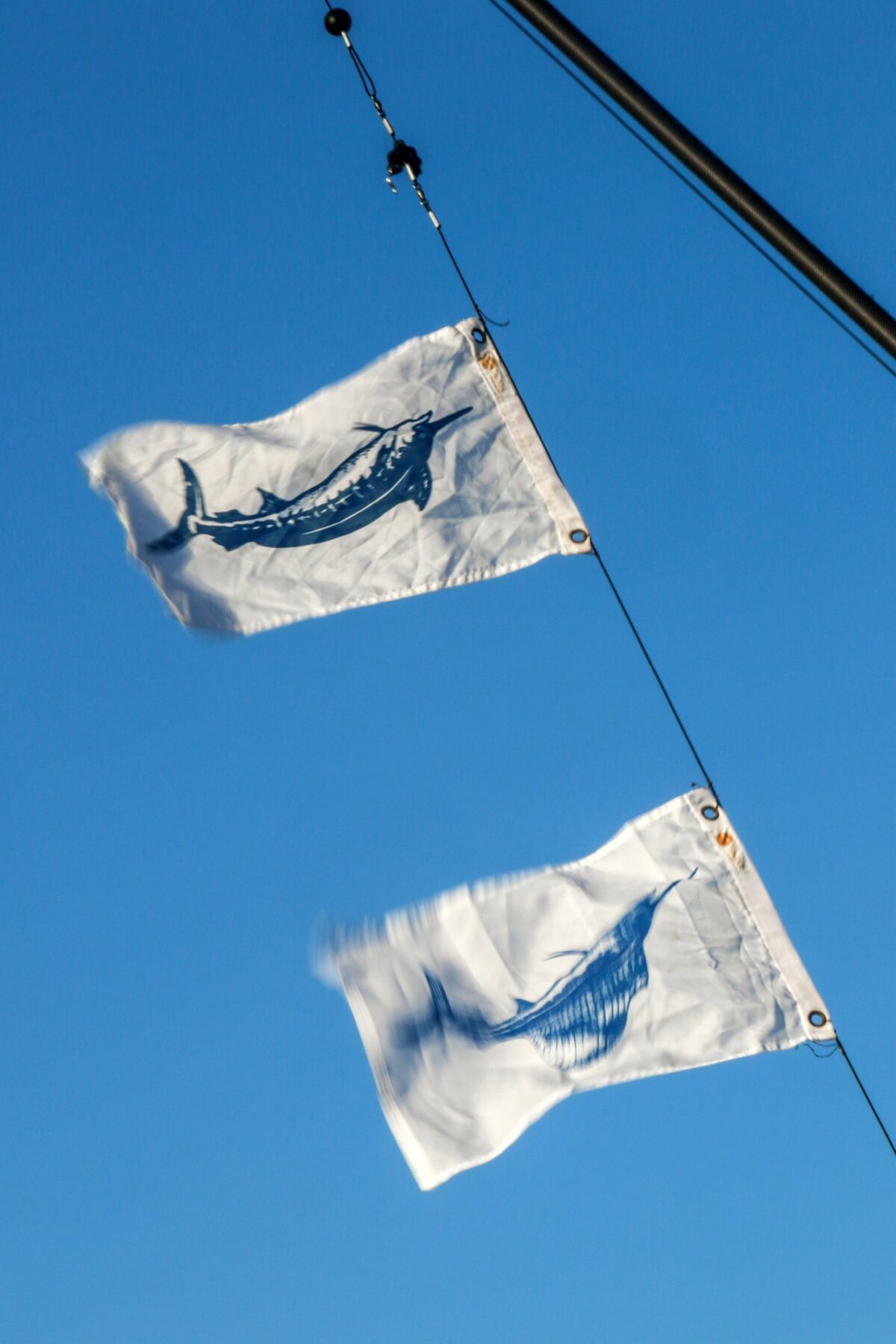 Laundry Line - A Guide To Flying Fishing Flags - InTheBite