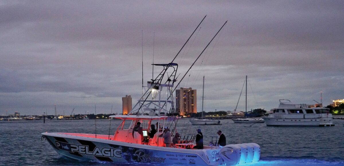 Contender 44ST Reel Synergy - InTheBite