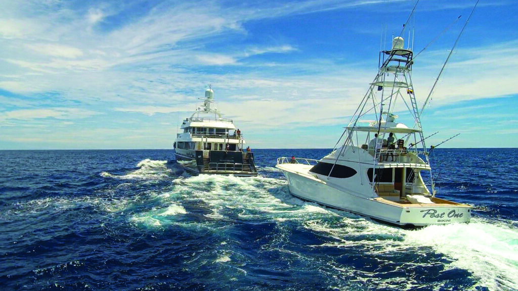 The Mothership Has Landed - InTheBite