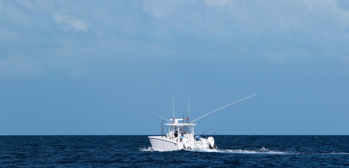 Trolling Prop Wash - InTheBite