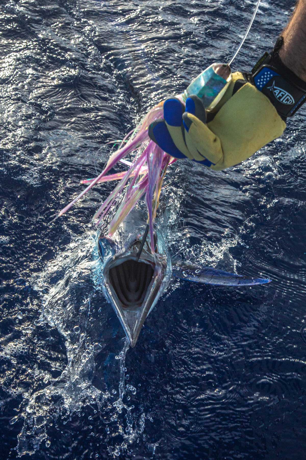 Selecting Your Best Offshore Lures - InTheBite