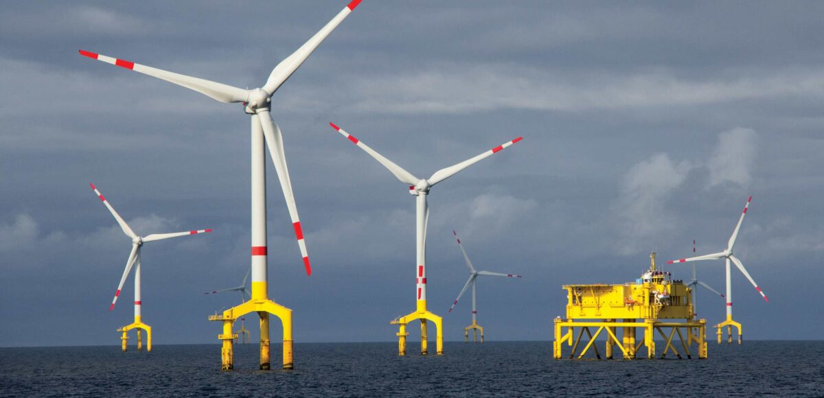 Navigating the Wind Farm Impacts - InTheBite
