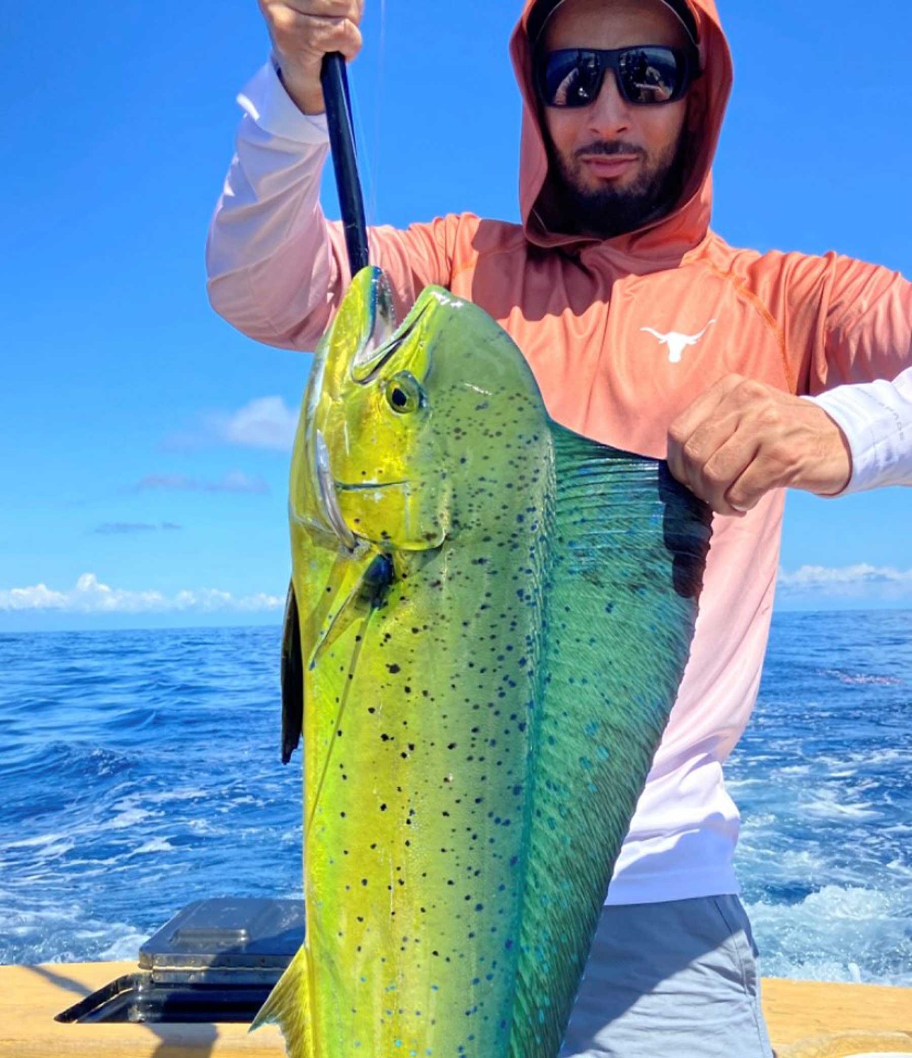 A Beginner's Guide to Landing Your First Marlin