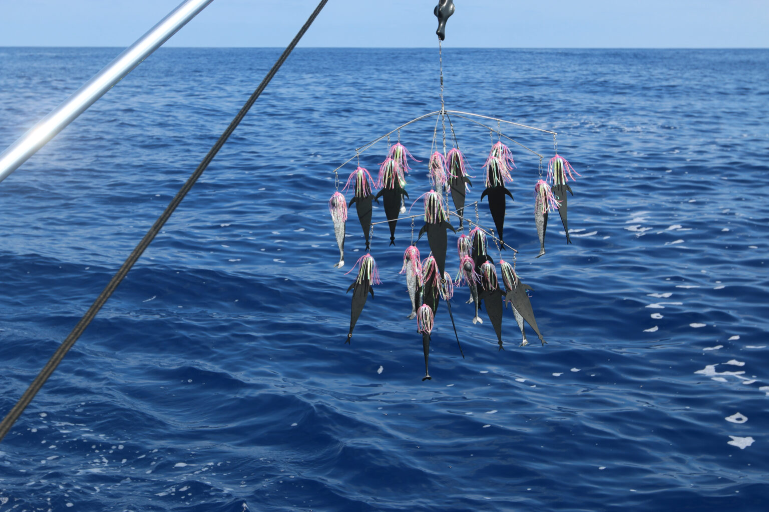 How Dredge Fishing for Billfish Revolutionized the Sport - InTheBite