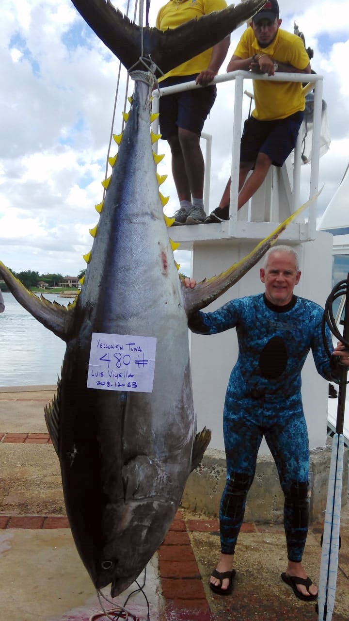 World Record Yellowfin Tuna 480lb Spearfished in Dominican Republic