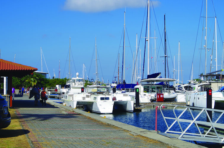 Sportfishing Slang: Essential Fishing Lingo Guide