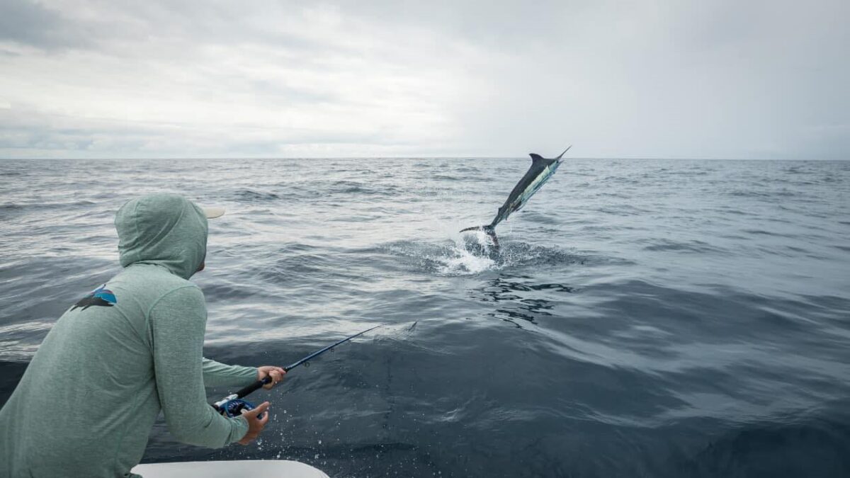 Golfito: Costa Rica’s Fishing Utopia and Eco Friendly Marina
