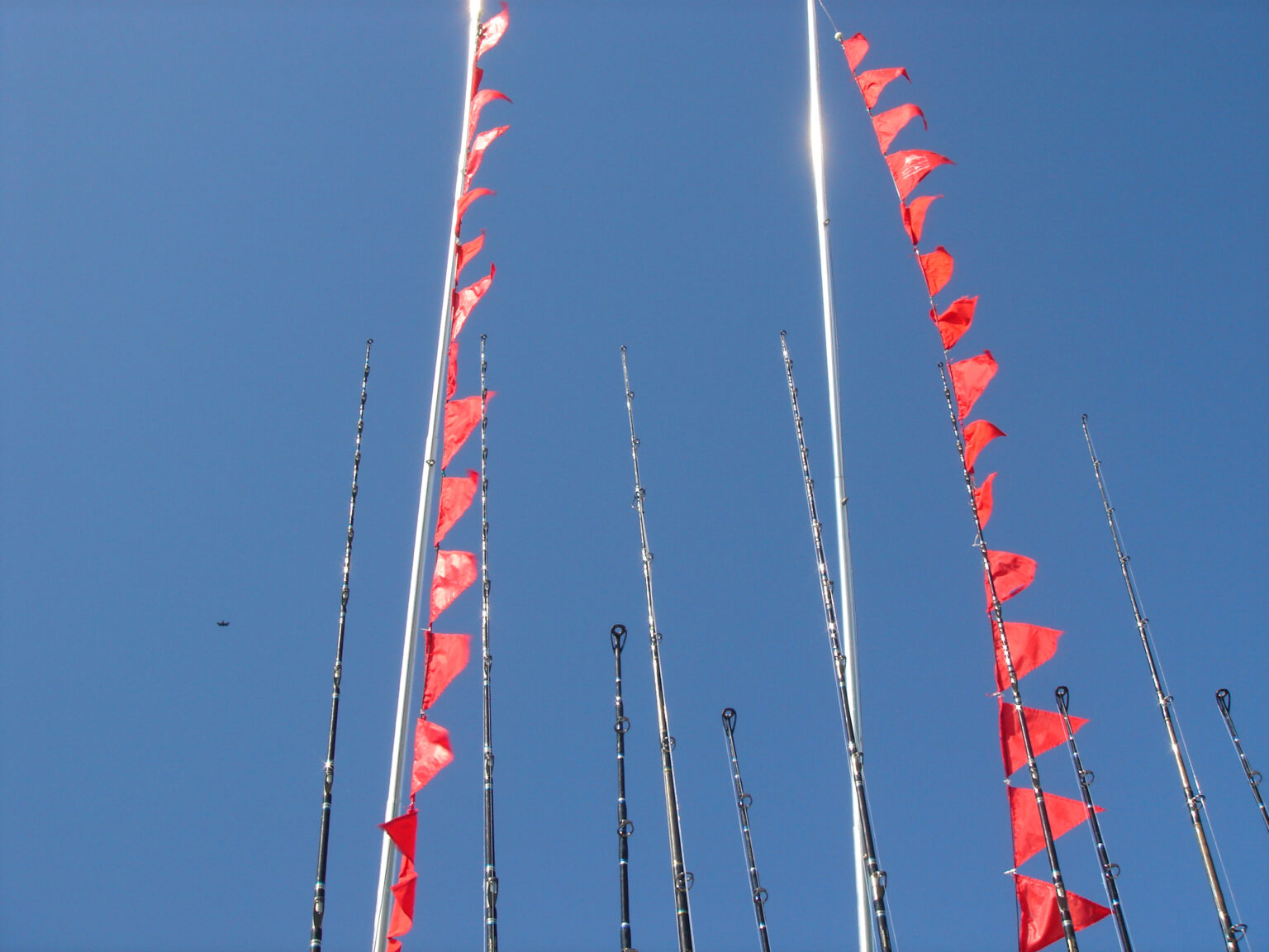 Laundry Line - A Guide To Flying Fishing Flags - InTheBite