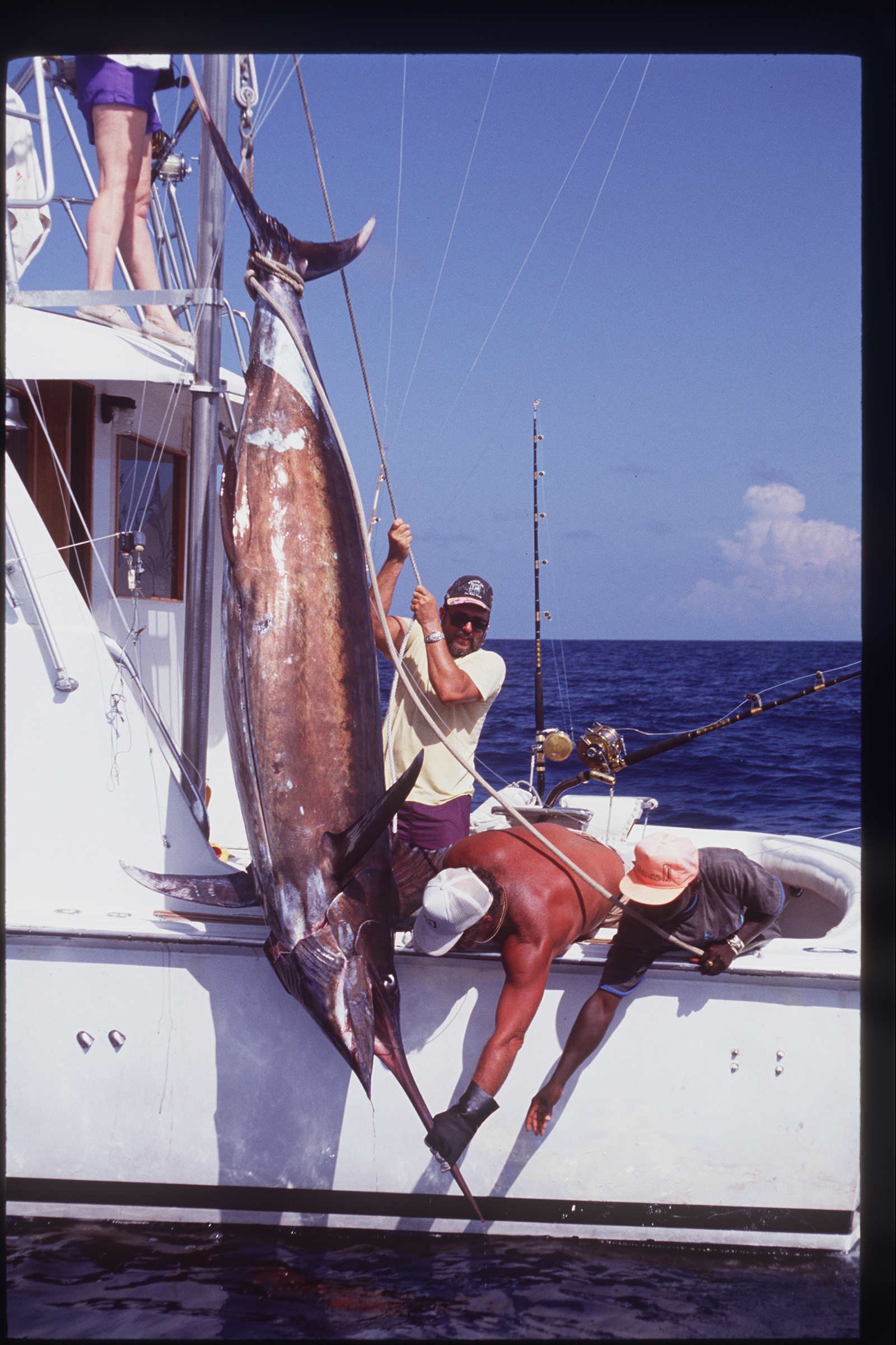 Walker’s Cay: A Legendary Fishing Haven's Remarkable Revival - InTheBite