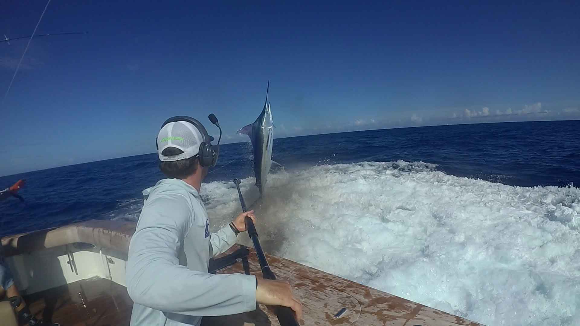 Unveiling the Ultimate Blue Marlin Adventure: Scrub Island British ...