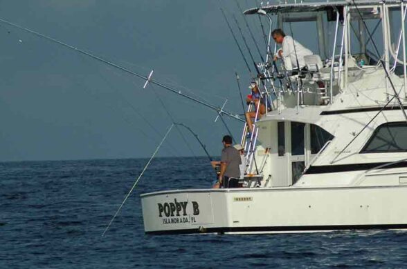 Fishing Archives - InTheBite