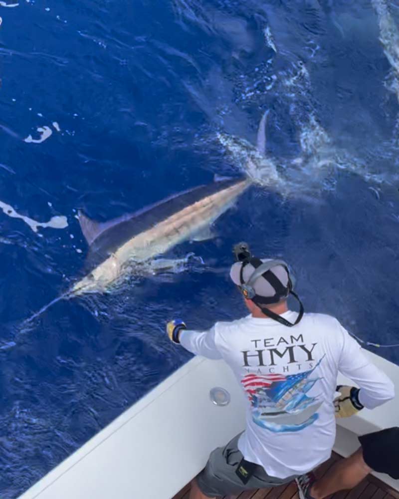 Inside the Boat Buying Process: How Captains and Owners Make it Work ...