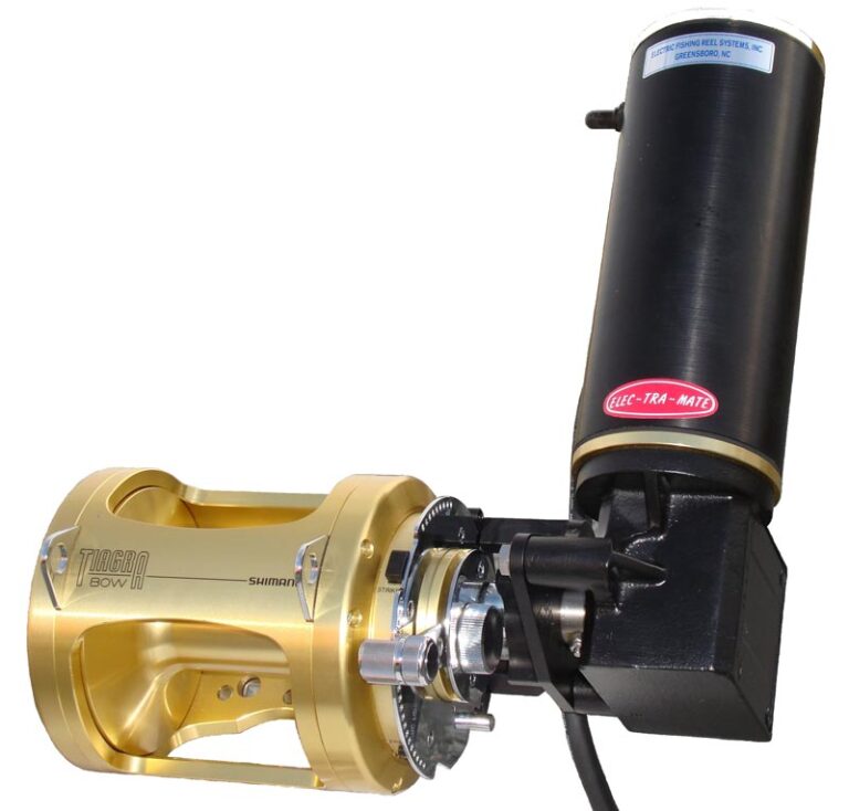 Maximize Your Catch: The Ultimate Guide to Electric Fishing Reels ...