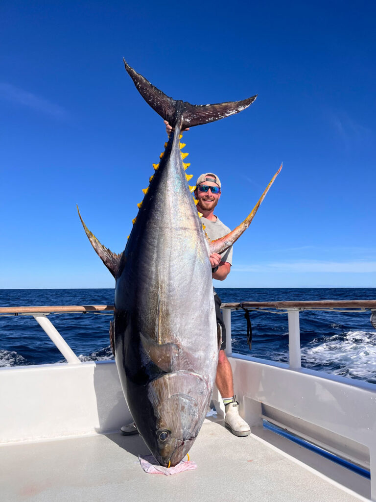 A Record Catch In Baja Yellowfin Tuna World Record Inthebite