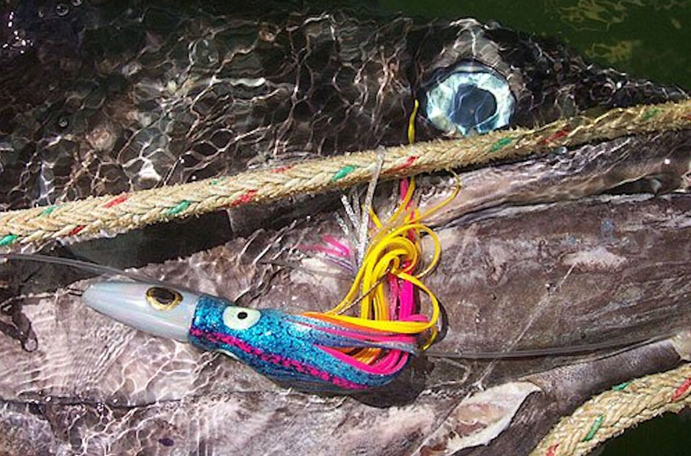 First Lure: Mark White Ceramic Lures: Revolutionary Hawaiian Innovation - InTheBite