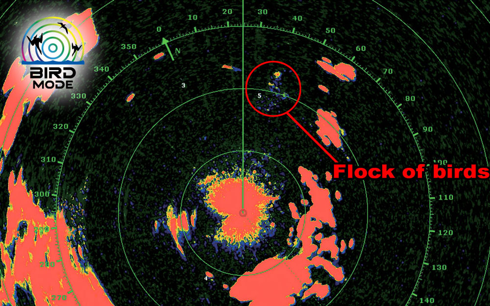 Furuno Radar Bird Mode: Your Inside Scoop to Finding Fish - InTheBite