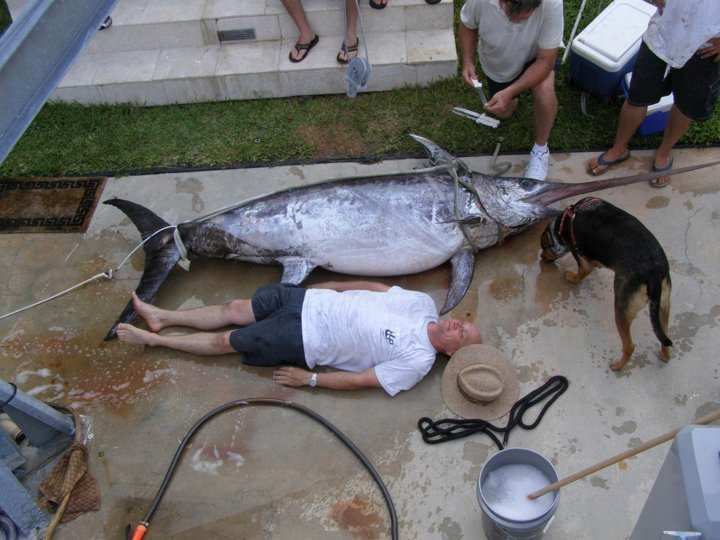 Saltwater Profile: Peter Lindgren, President & CEO, Lindgren-Pitman ...