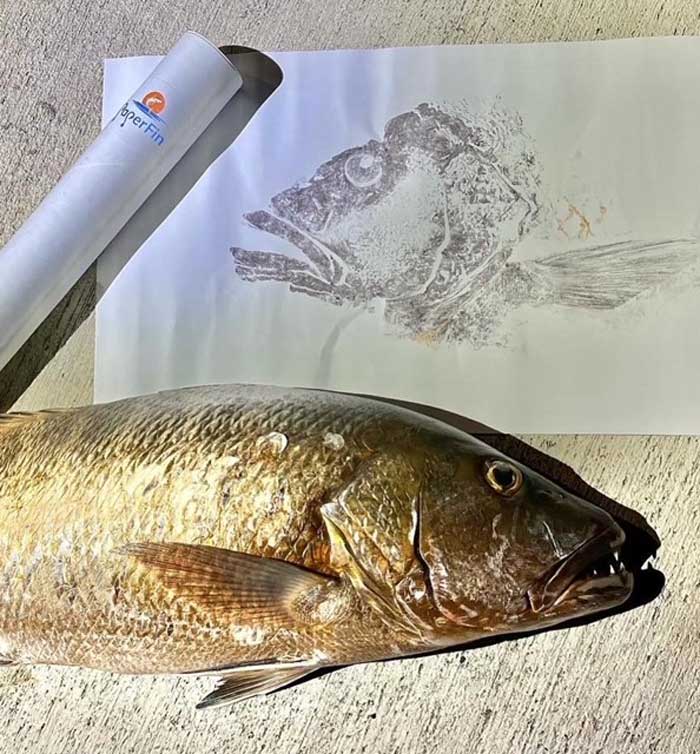 Gyotaku Fish Printing: From Samurai Warriors to Museum Walls - InTheBite